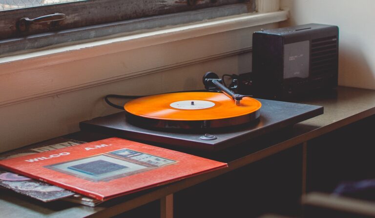 5 Tips on How to Throw a Vinyl Record Listening Party - 2024 Guide