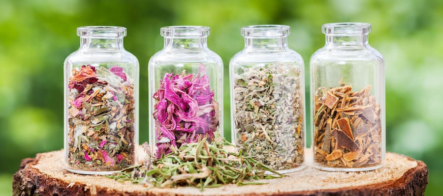 The Uses of Medicinal Plants in Various Medical Issues and Treatments