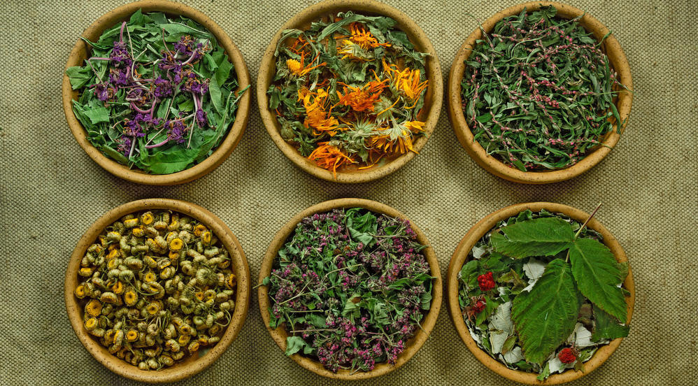 The Uses of Medicinal Plants in Various Medical Issues and Treatments