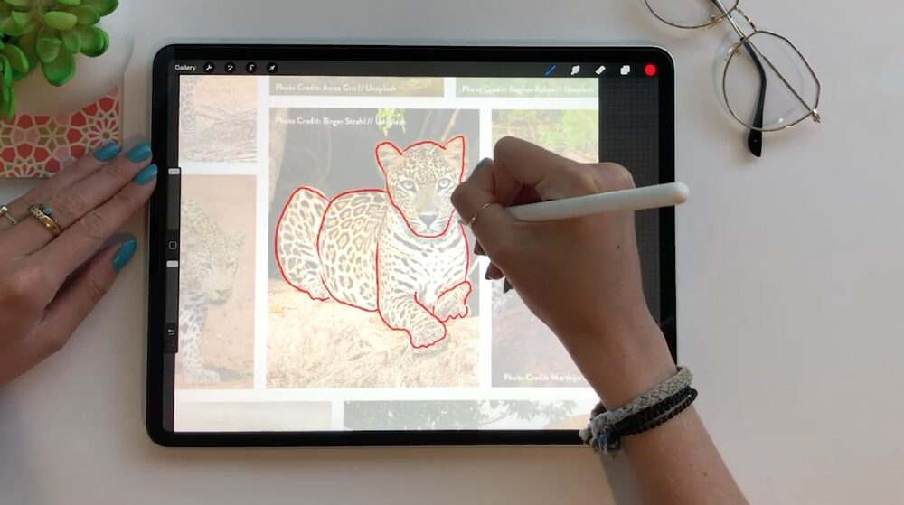 Getting Started With Procreate: A Beginner’s Guide to Digital Drawing