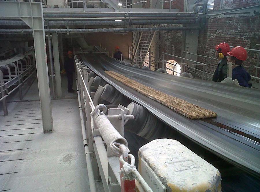 How to Calibrate Belt Scales for Maximum Accuracy - 2024 Guide