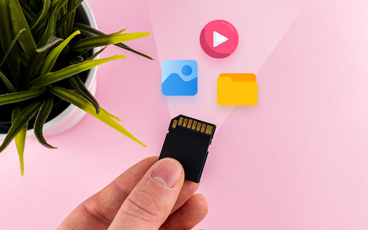 Guide to Memory Card Recovery: Everything You Need to Know