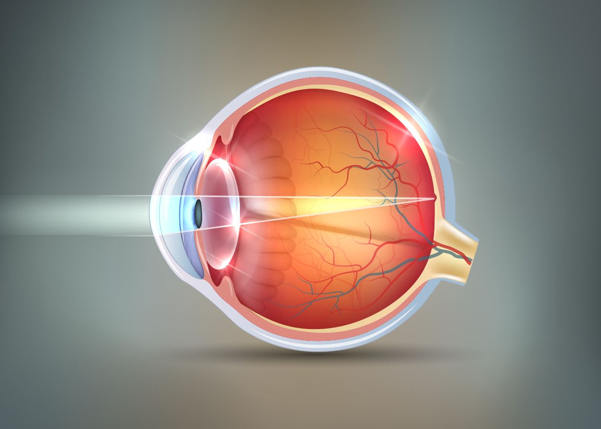 Disease-Induced Retina Damage