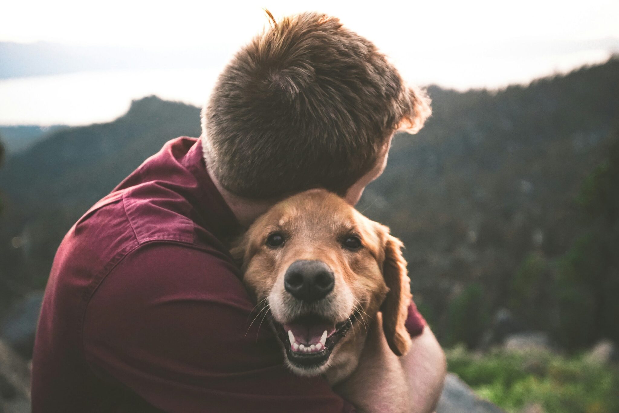Pets as Family - The Psychology Behind Deep Human Animal Bonds